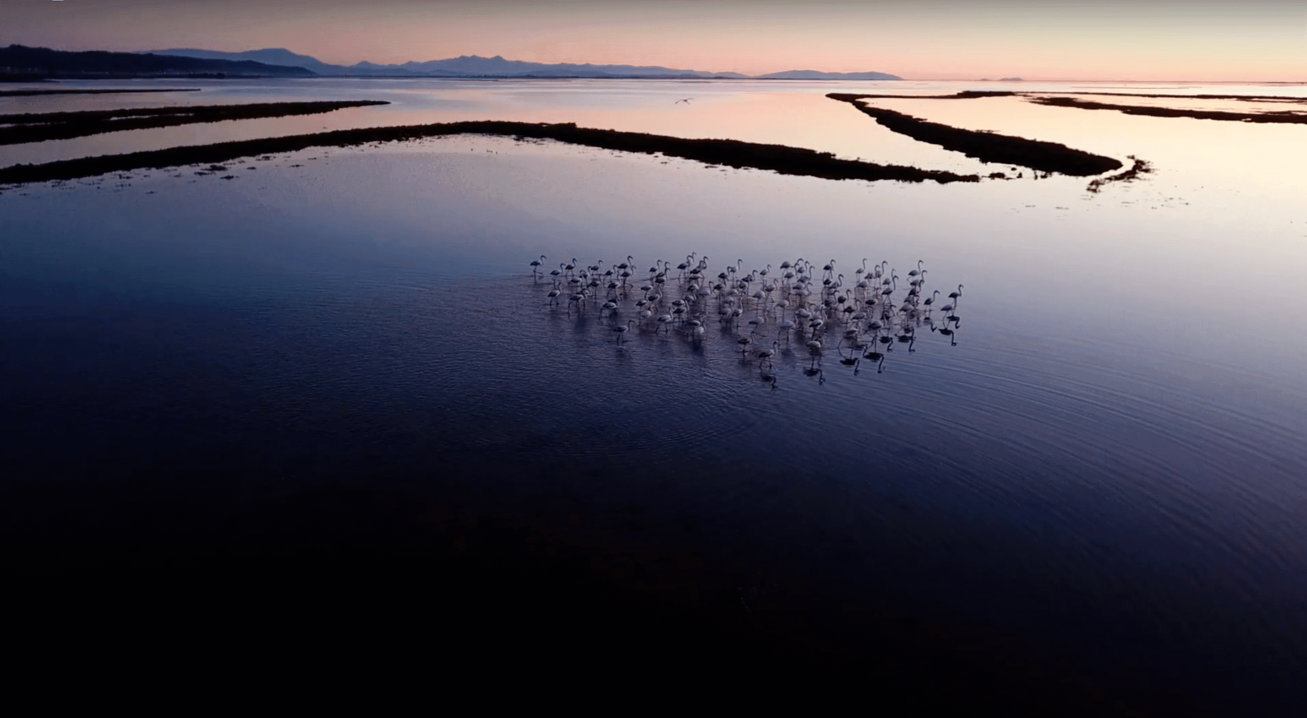The Great Green Wall: Protecting Divjaka-Karavasta Wetlands