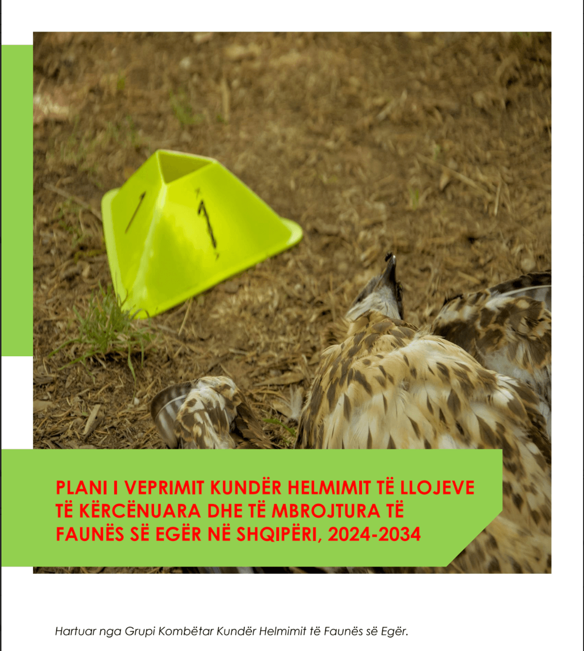 National Wildlife Poisoning Action Plan Approved in Albania (2025–2035 ...